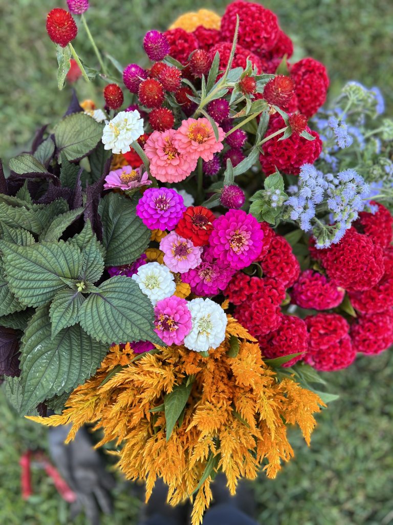 Locally Grown Flowers
